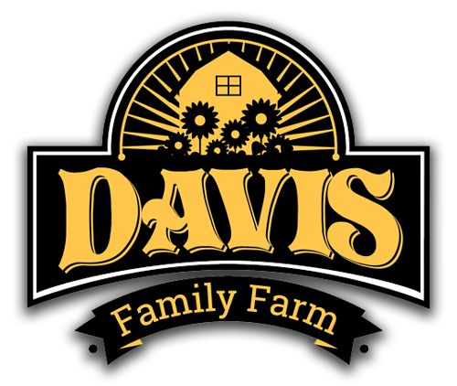 Toronto Sunflower Fields & Festival | Davis Family Farm
